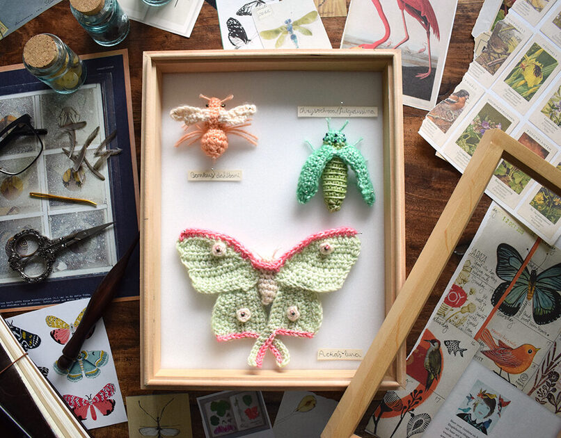 Bonus pattern | Scheepjes CAL 2020 - d'Histoire Naturelle | Scheepjes ...